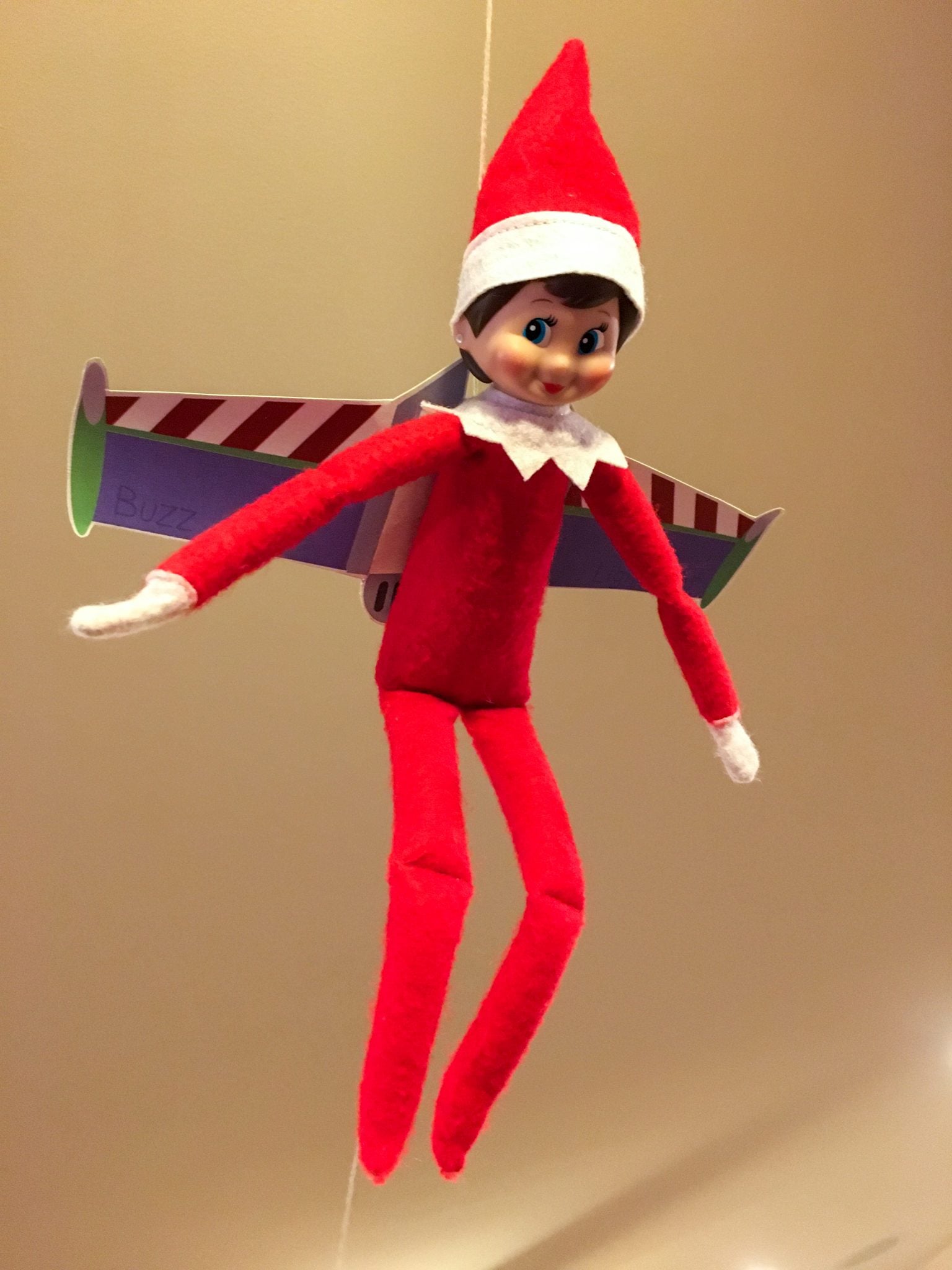 2019 The Adventures of Snowflake the Elf - AndrewKnight.com